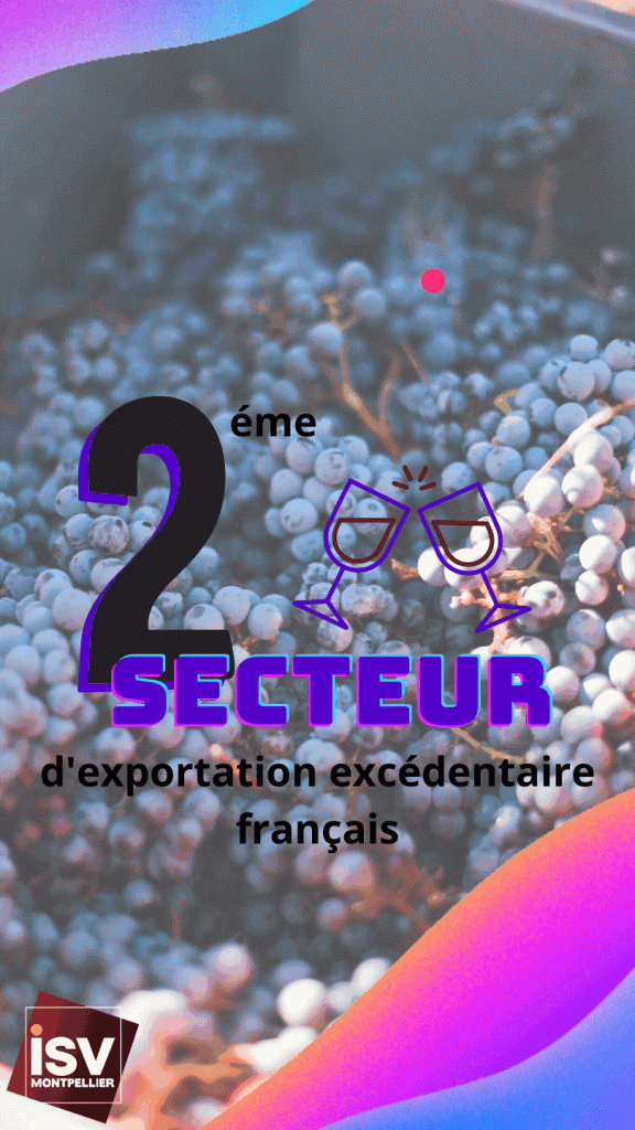 Comment devenir responsable commercial export ? - ISVin